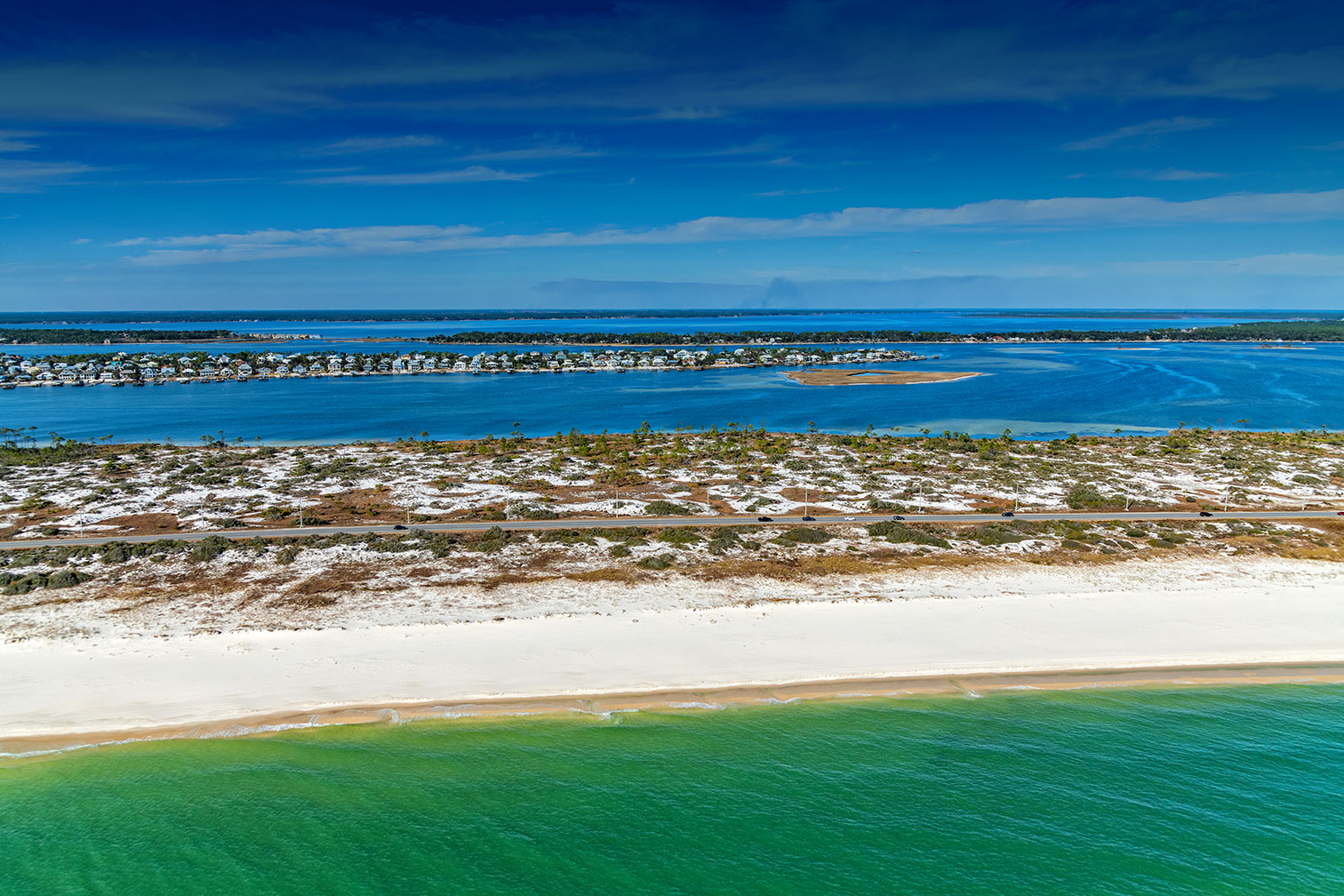 Gulf Coast - Coastal Ecology | BISC 352 | Study USA | Ole Miss